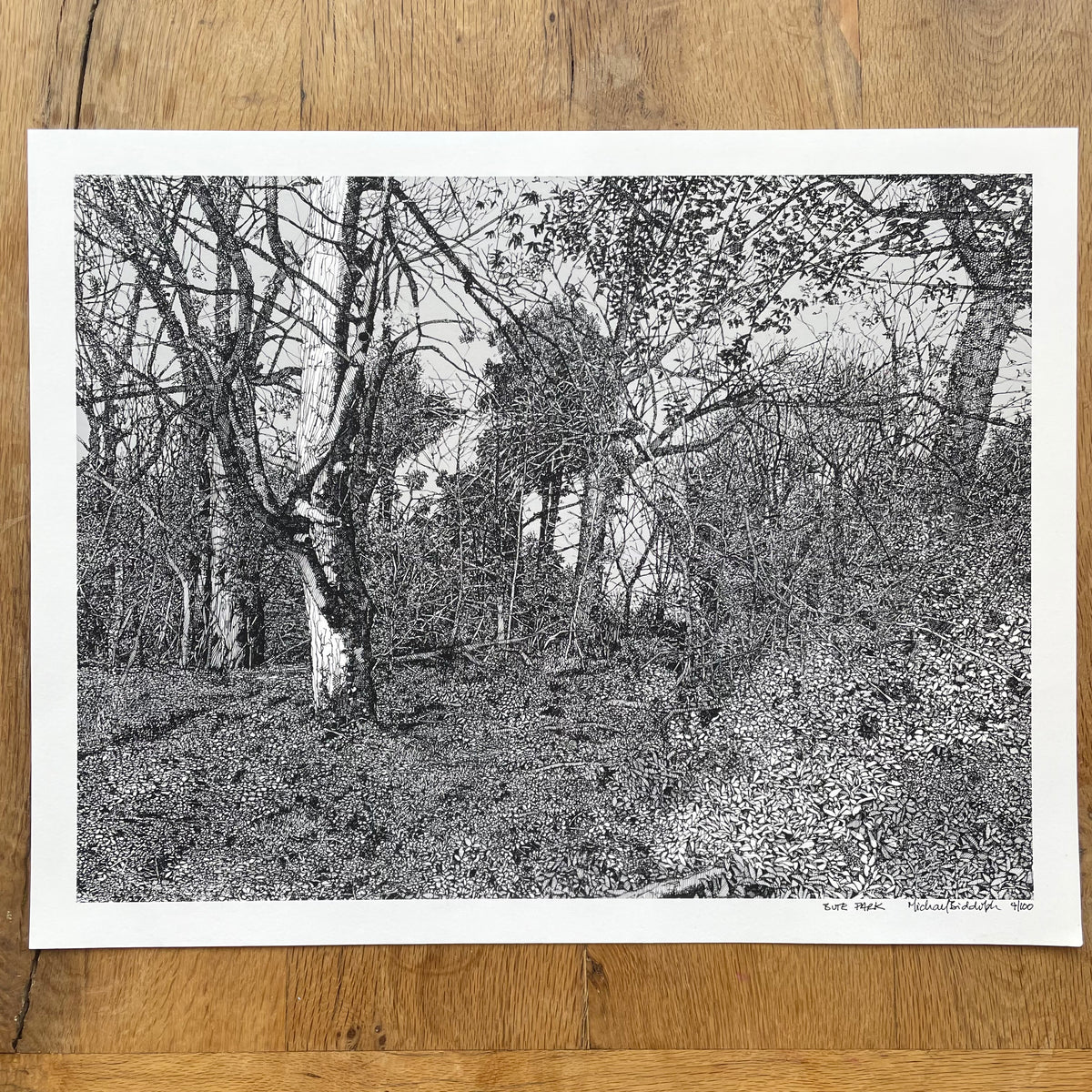 Mike Biddulph - 'Bute Park' Limited Edition Prints – Cardiff MADE