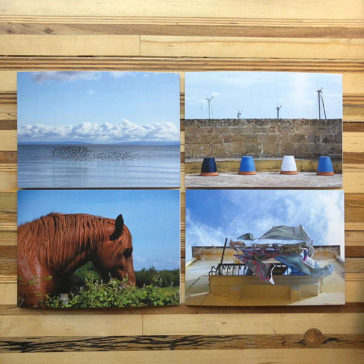 Tom Higgins 'Let Us Now Praise Famous Bins' Greetings Cards – Cardiff MADE